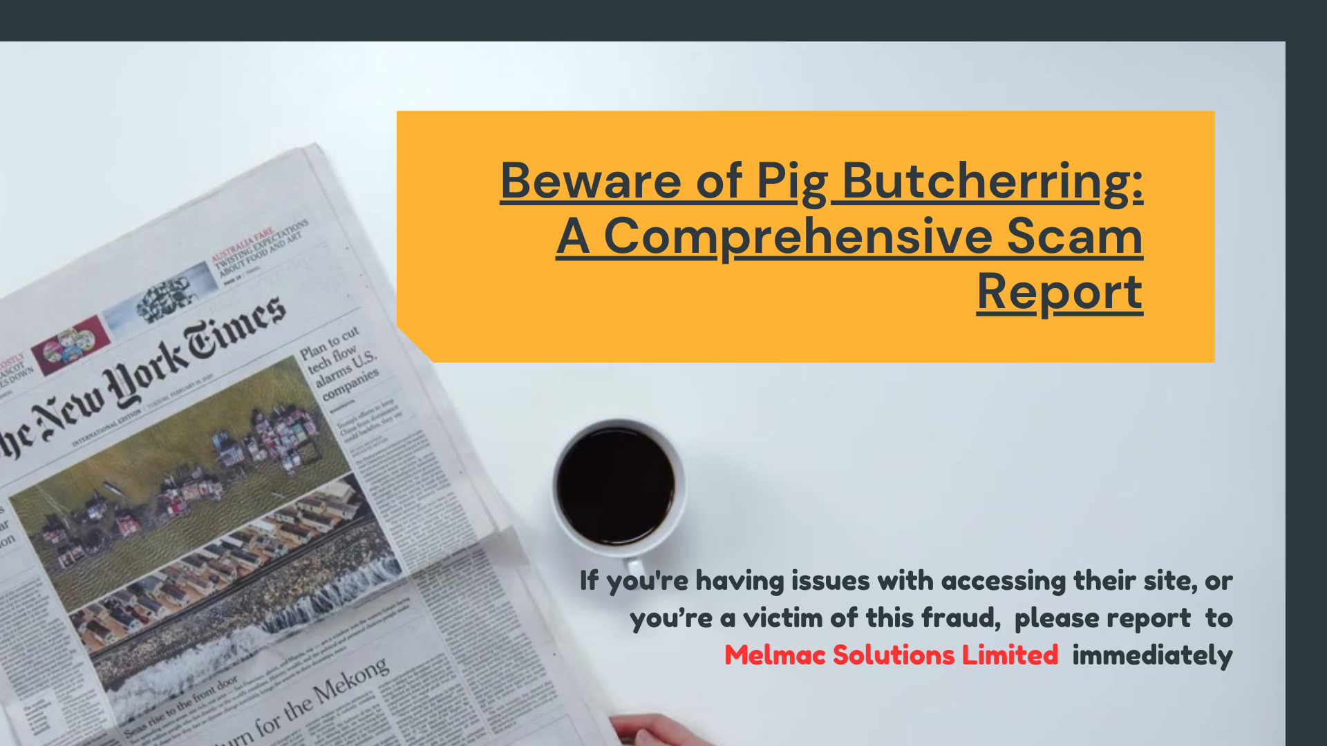 The Pig Butchering Scam: 10 Warning Signs & How To Avoid It - Melmac ...